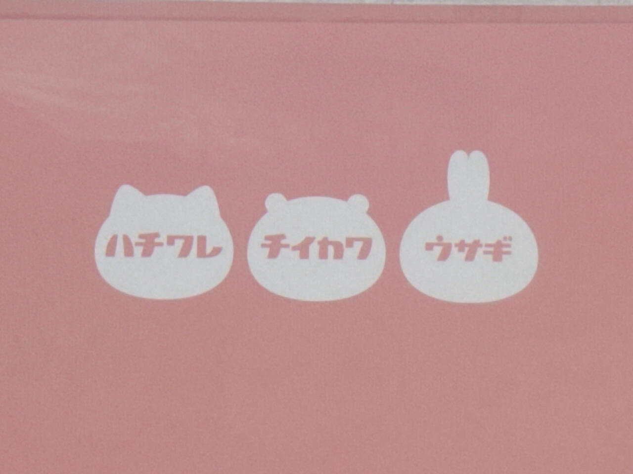 【イトーヨーカドー×ちいかわ】コラボグッズ買うならコレ！激かわ＆実用的なおすすめ3選♪（写真 33/42） - mimot.(ミモット)
