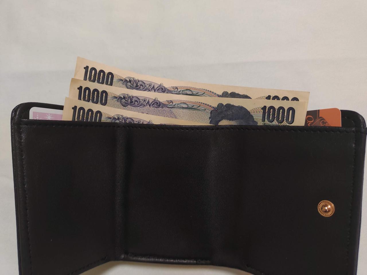 一番使えるカラー＆デザインです！オシャレなミニ財布が付録で出るよ（写真 14/21） - mimot.(ミモット)