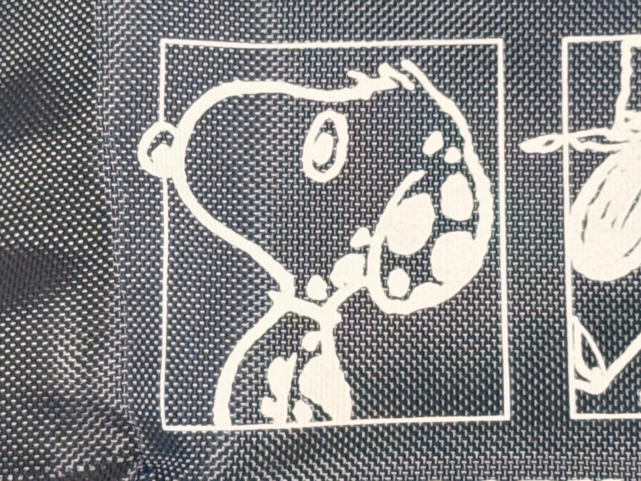 ハニーズで見つけた♪スヌーピー新作エコバッグおすすめ2選。2Lペットも入る便利サイズだよ（写真 19/31） - mimot.(ミモット)