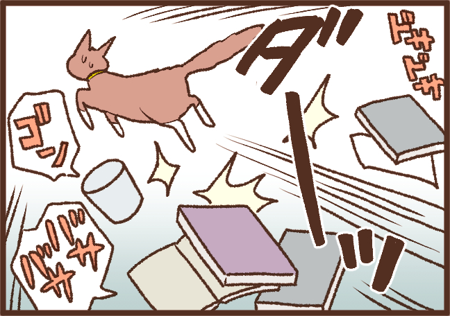 【吉川さん家の猫事情】#10話 猫のイメージと実態は大違い!?（写真 7/9） - マンガ連載：吉川さん家の猫事情 - mimot.(ミモット)