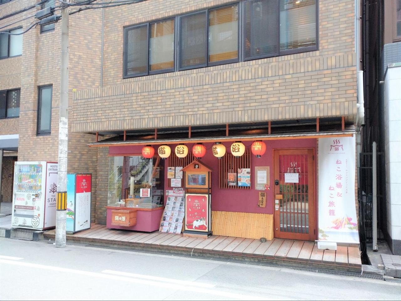 【ねこ浴】もふもふ風呂にどっぷり浸かれる！保護猫カフェに行ってみた（1/4） - mimot.(ミモット)