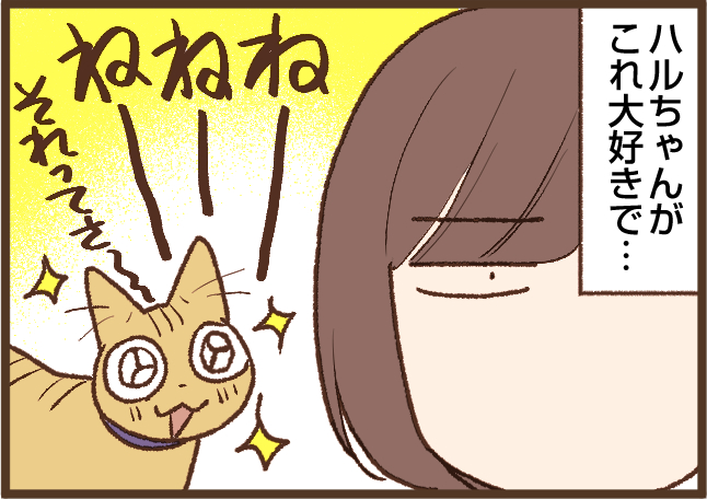 【吉川さん家の猫事情】#62話 アレが好きすぎる猫（1/2） - マンガ連載：吉川さん家の猫事情 - mimot.(ミモット)