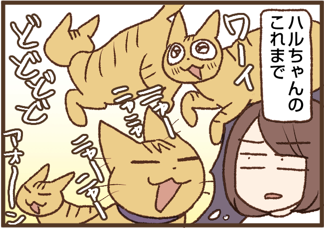 【吉川さん家の猫事情】#65話 久しぶりにある場所へ…（写真 7/8） - マンガ連載：吉川さん家の猫事情 - mimot.(ミモット)