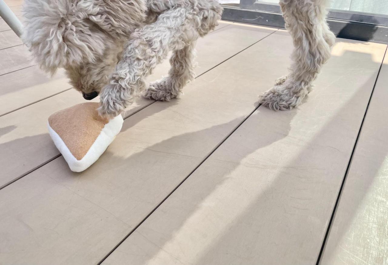 【ニトリ・アイリスオーヤマ】愛犬のストレス解消に！おすすめプチプラグッズ3選（正直レビュー）（写真 18/21） - mimot.(ミモット)