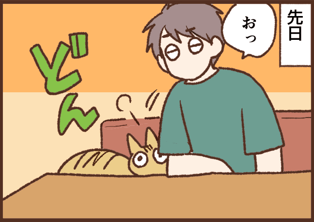 【吉川さん家の猫事情】#99話 ネコに怒られる…（写真 6/8） - マンガ連載：吉川さん家の猫事情 - mimot.(ミモット)