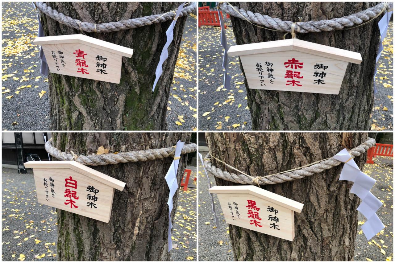 【東京を代表するパワースポット】“五龍神”を祀る『田無神社』で幸運を祈願！（写真 11/23） - mimot.(ミモット)