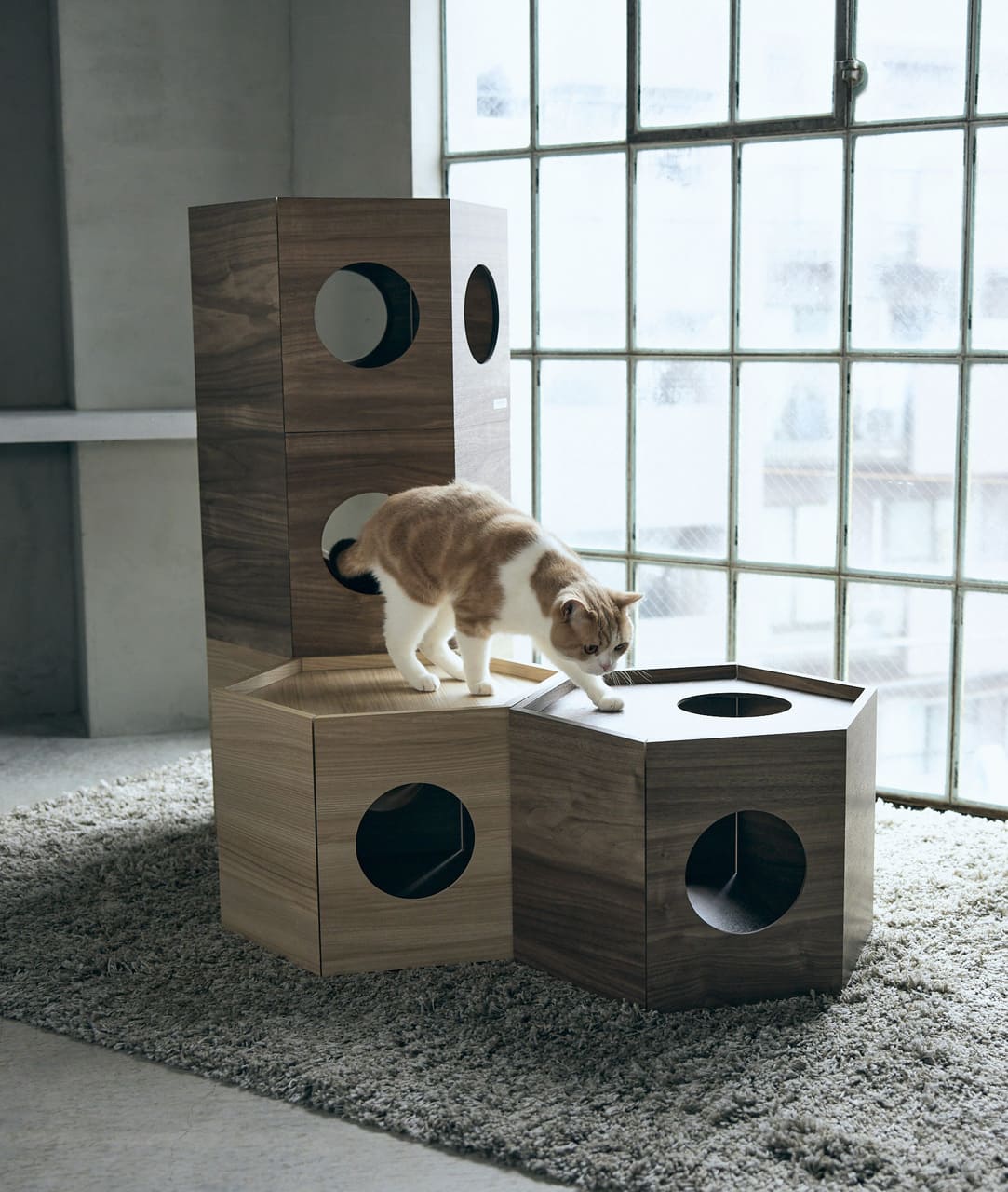 うちの子、かわいすぎる…！「フランスペット」のペット用家具がおしゃれで実用的（写真 1/81） - mimot.(ミモット)