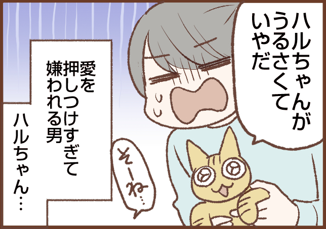 【吉川さん家の猫事情】#117話 片思い？三角関係？（写真 8/8） - マンガ連載：吉川さん家の猫事情 - mimot.(ミモット)