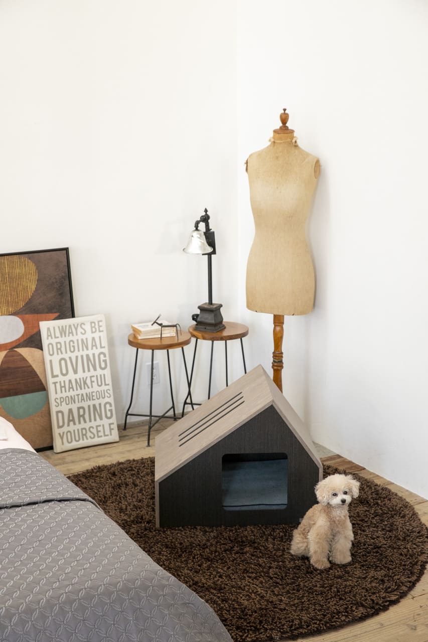 うちの子、かわいすぎる…！「フランスペット」のペット用家具がおしゃれで実用的（写真 22/81） - mimot.(ミモット)