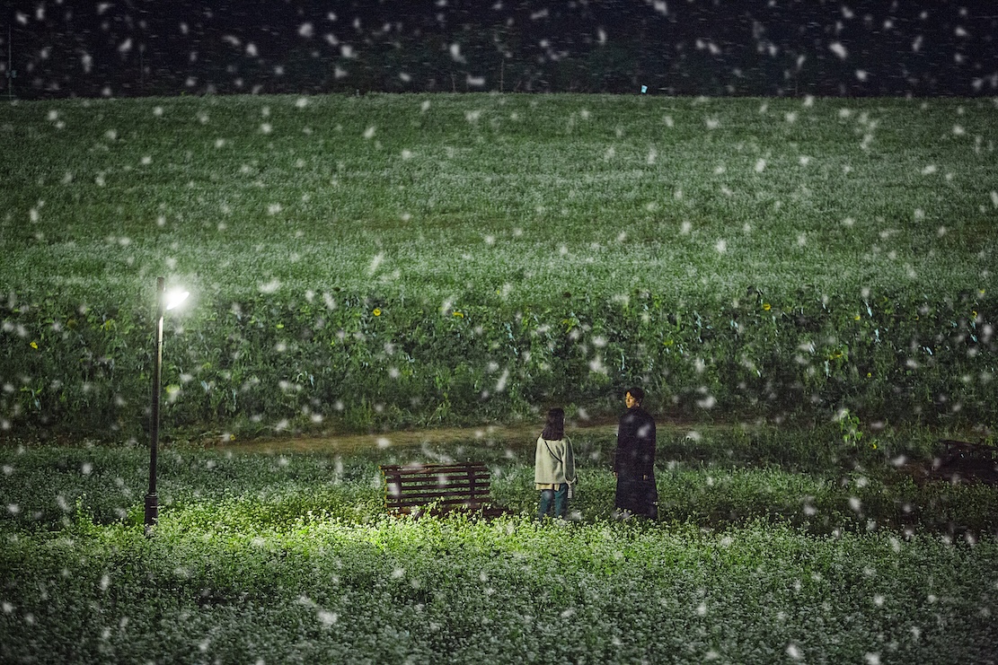 【韓国ドラマ】“愛の告白”シーンにグッとくる！いつまでも色褪せないオススメ5選（写真 2/19） - mimot.(ミモット)