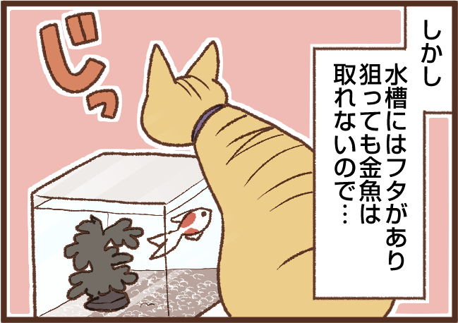 【吉川さん家の猫事情】#49話 “4年目”に気づいたネコ（写真 6/9） - マンガ連載：吉川さん家の猫事情 - mimot.(ミモット)