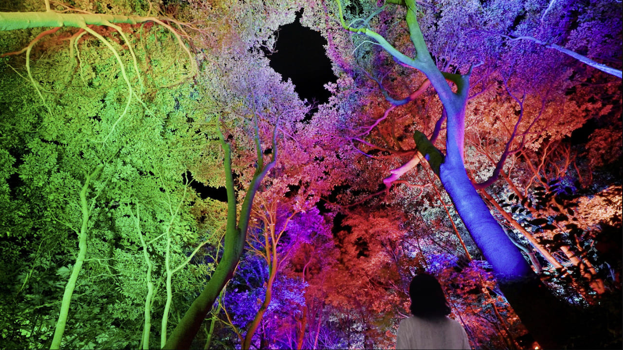 スーパー銭湯、サウナ、グランピング…絶対行きたい「温浴施設」10選！気になる温泉みつけた♪（写真 18/41） - mimot.(ミモット)