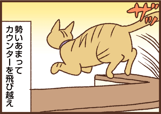 【吉川さん家の猫事情】#39話 やめてくれないコト（写真 4/9） - マンガ連載：吉川さん家の猫事情 - mimot.(ミモット)