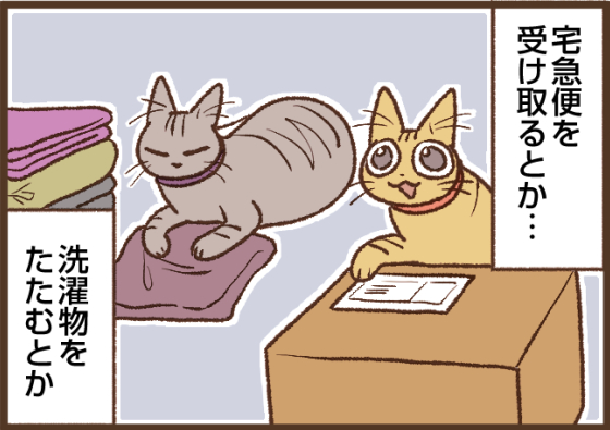 【吉川さん家の猫事情】#24話 多頭飼いの妄想あるある（写真 6/9） - マンガ連載：吉川さん家の猫事情 - mimot.(ミモット)