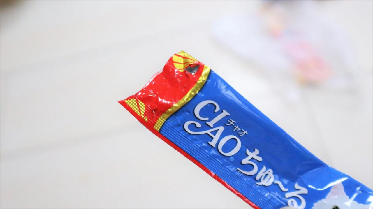 【レシピも掲載】食いつき抜群？あの“ちゅ～る”を作ってみた！（写真 12/34） - mimot.(ミモット)